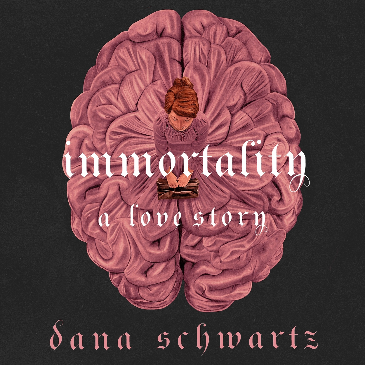 Immortality: A Love Story by Dana Schwartz | Hachette UK