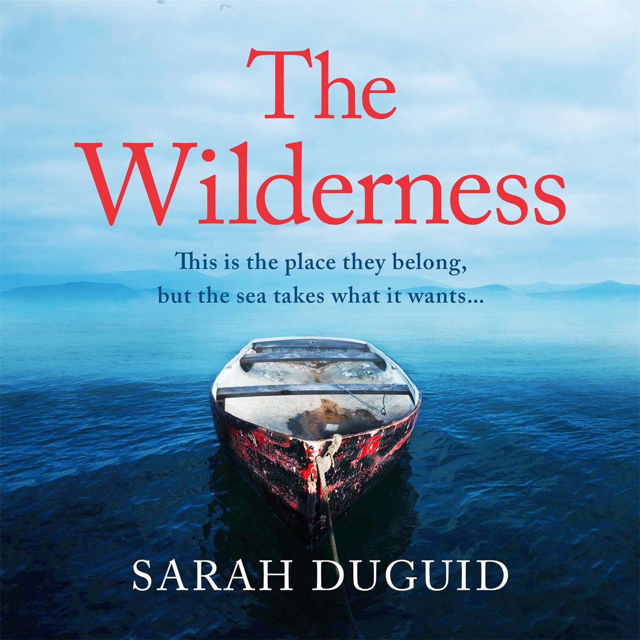 The Wilderness by Jane McDowell | Hachette UK