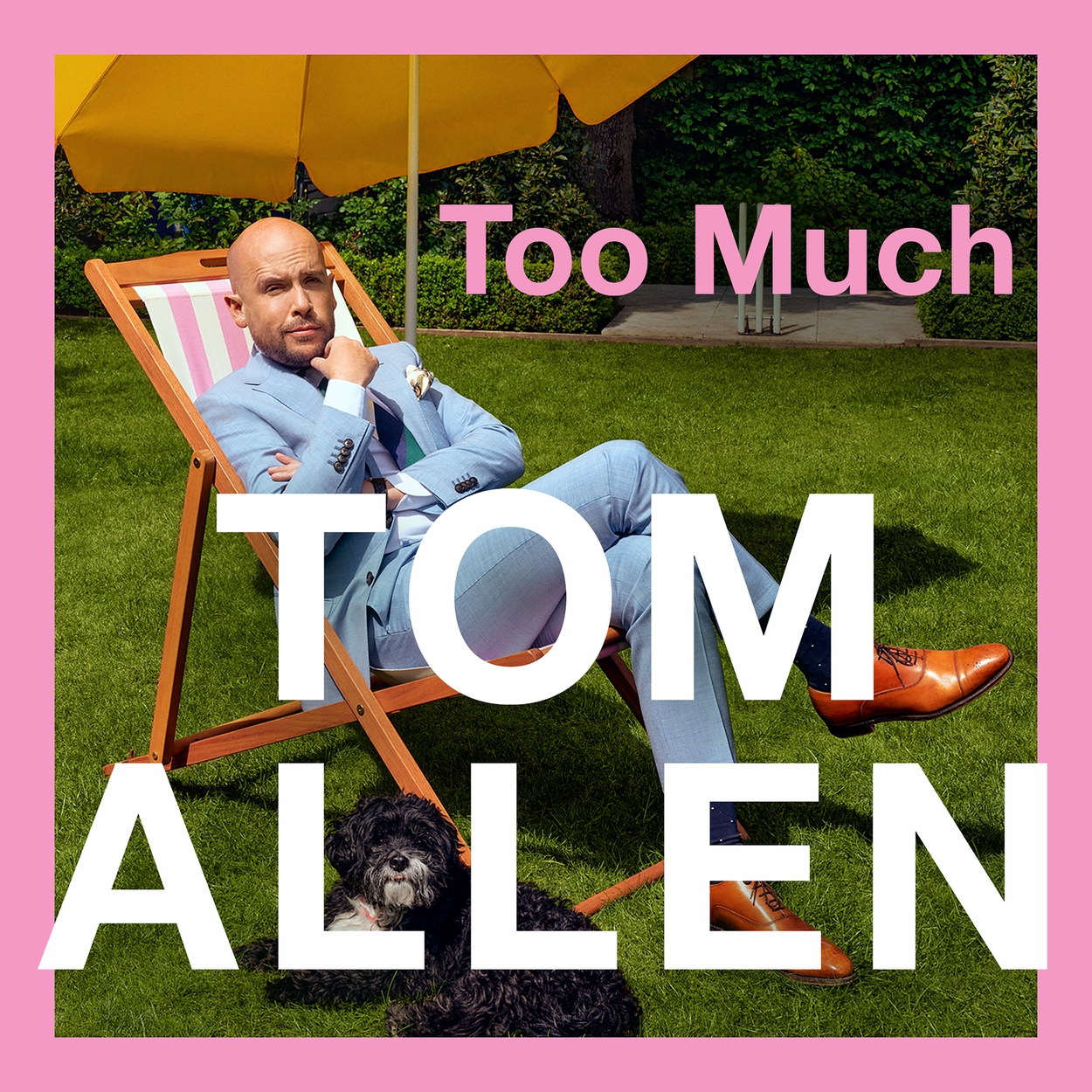 Too Much by Tom Allen | Hachette UK