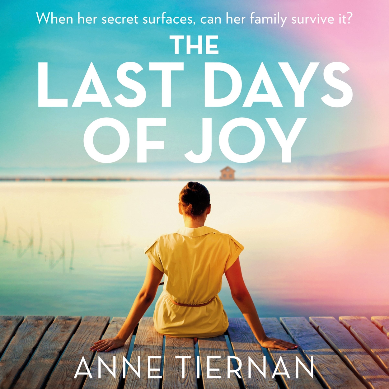 The Last Days of Joy: The bestselling novel of a simmering family ...