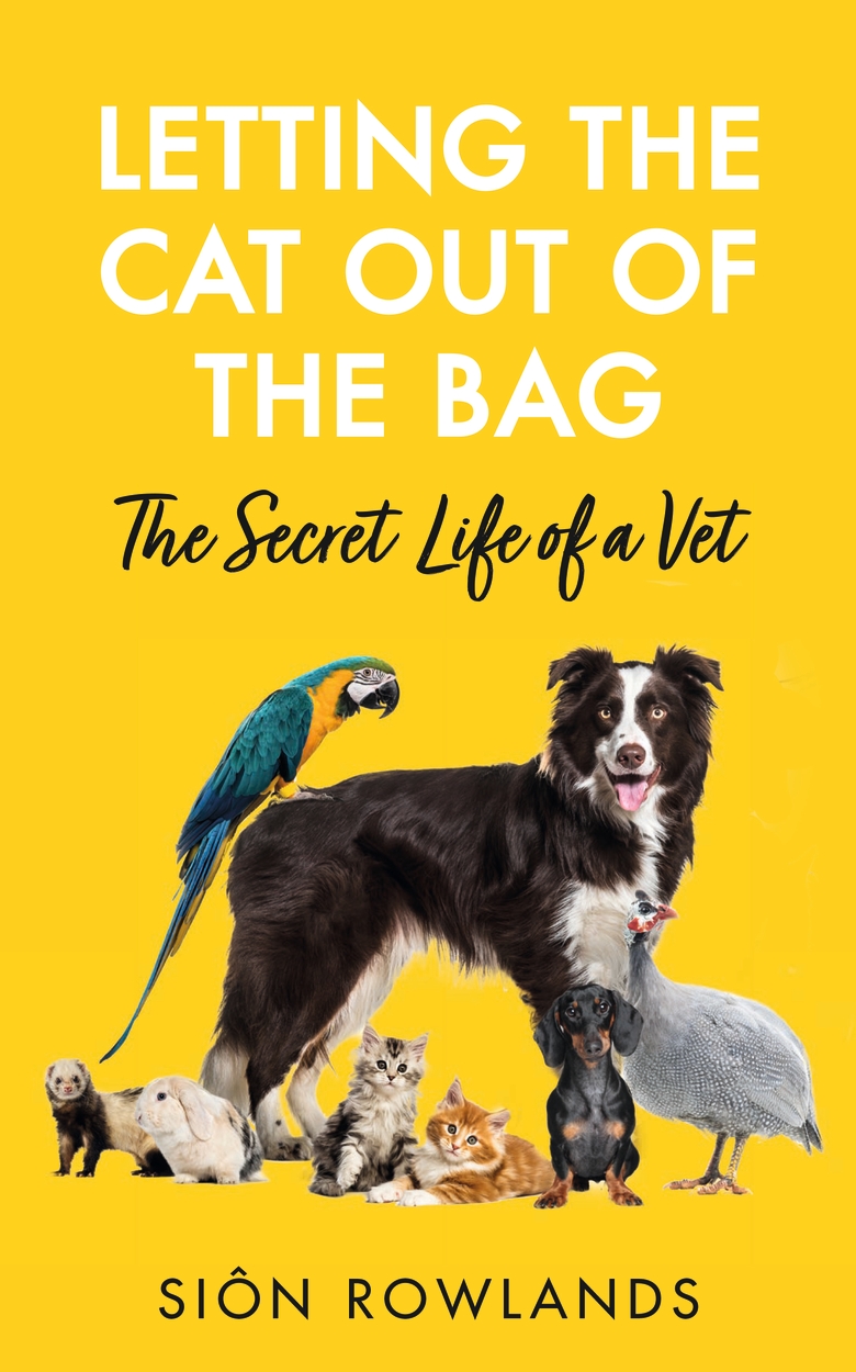Letting the Cat Out of the Bag by Siôn Rowlands | Hachette UK
