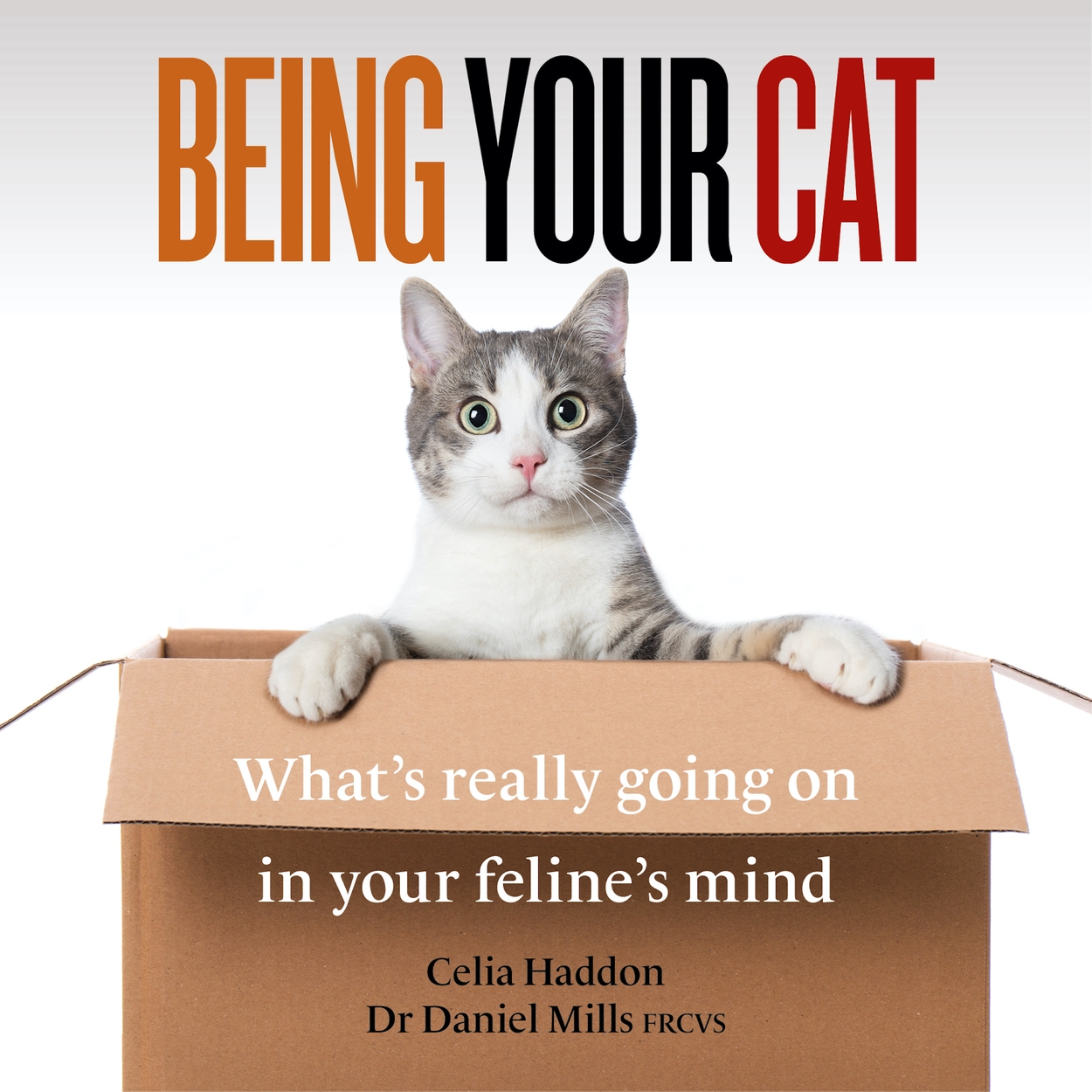 Being Your Cat by Celia Haddon | Hachette UK