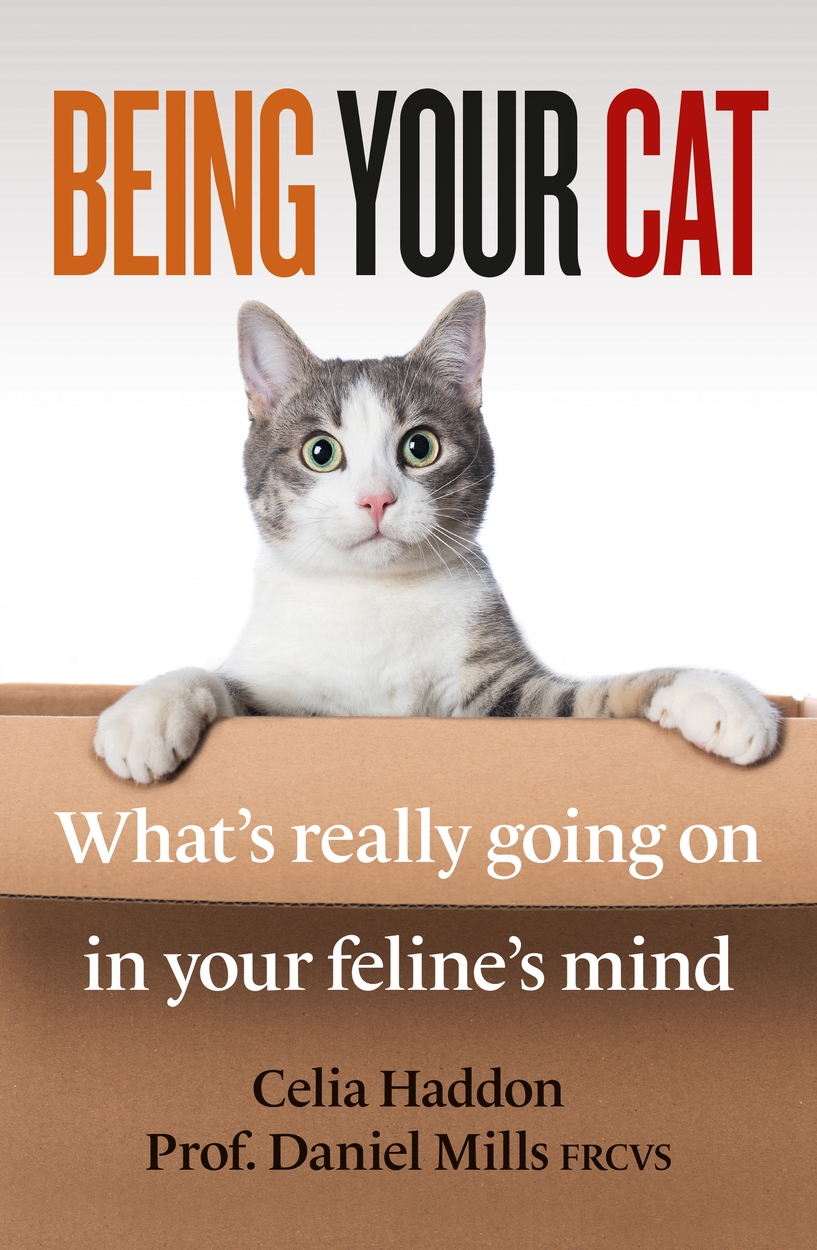 Being Your Cat by Celia Haddon | Hachette UK