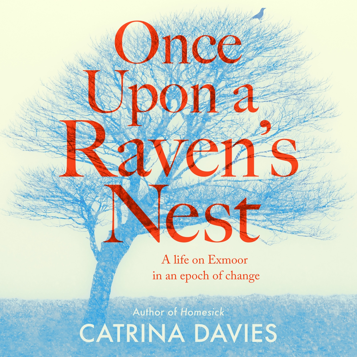 Once Upon a Raven's Nest by Catrina Davies | Hachette UK Once Upon a Raven's Nest by Catrina Davies | Hachette UK