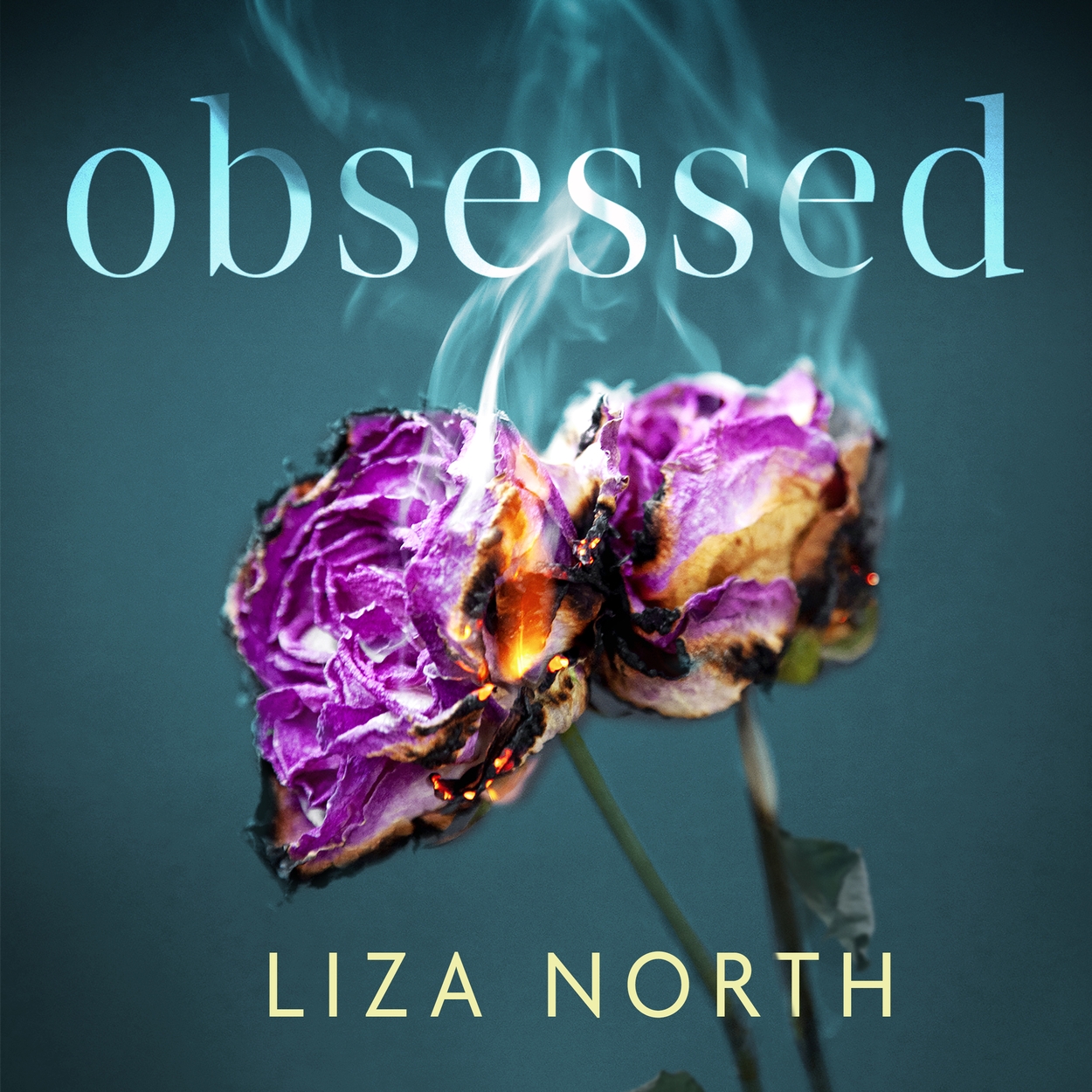 Obsessed by Sarah Barron | Hachette UK