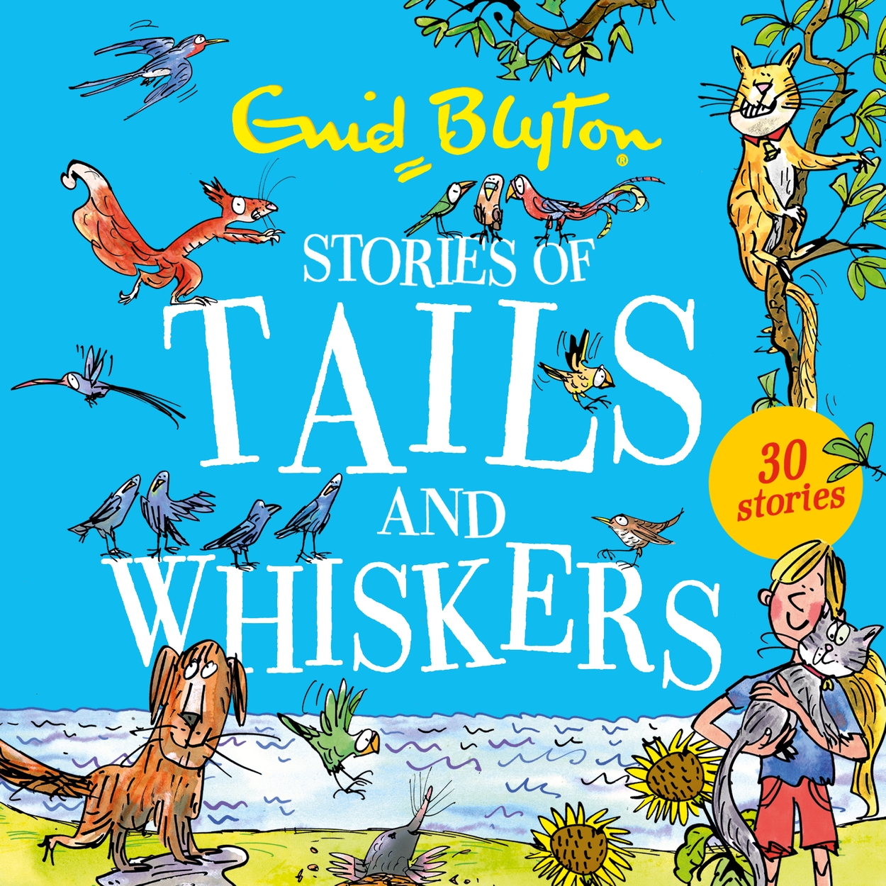 Stories of Tails and Whiskers by Enid Blyton | Hachette UK