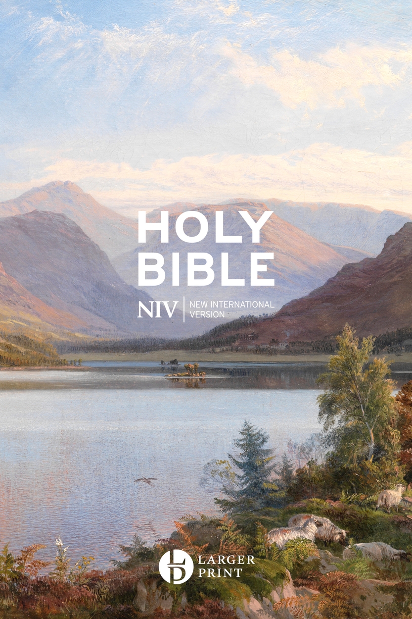 NIV Larger Print Gift Hardback Bible by New International Version ...