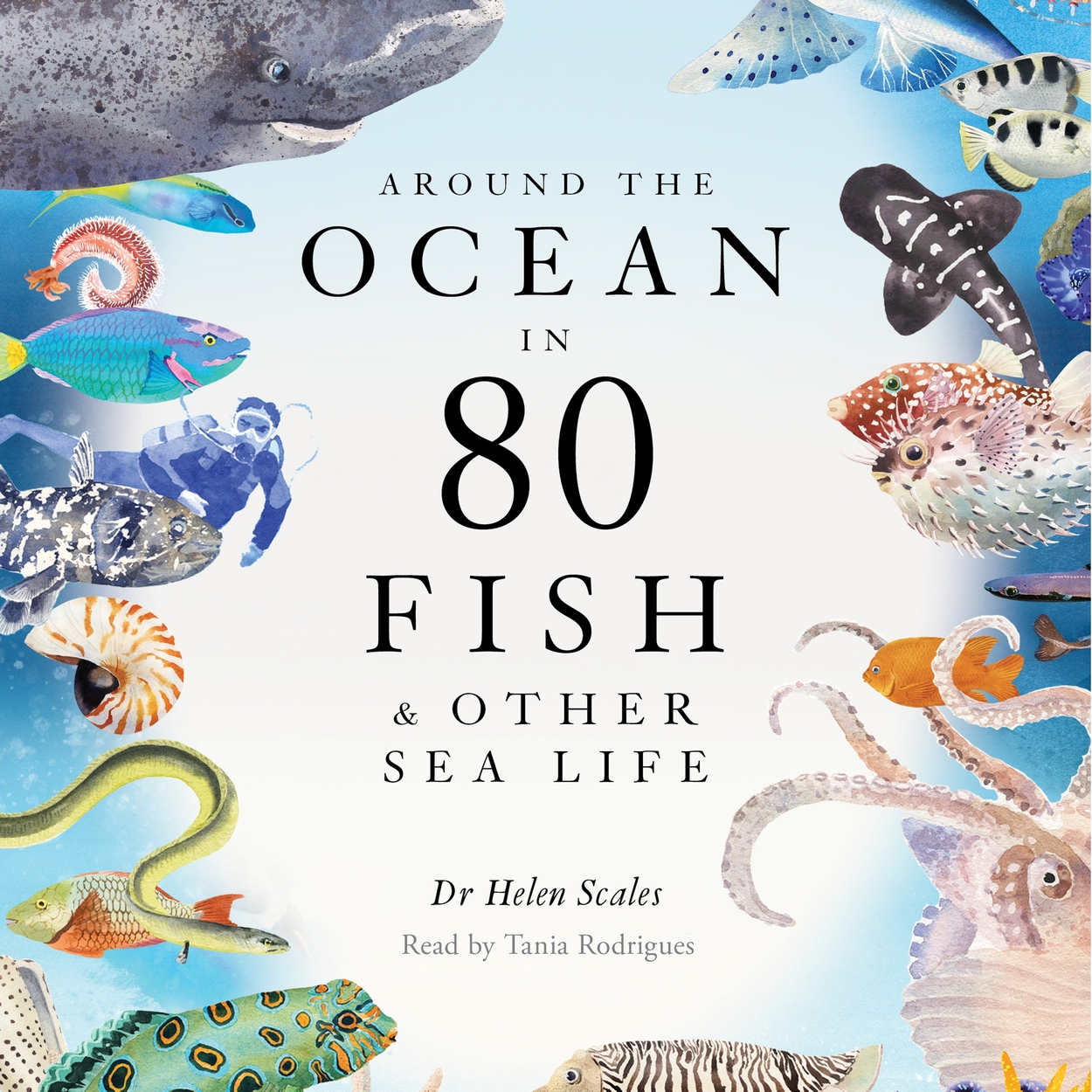 Around the Ocean in 80 Fish and other Sea Life by Helen Scales ...