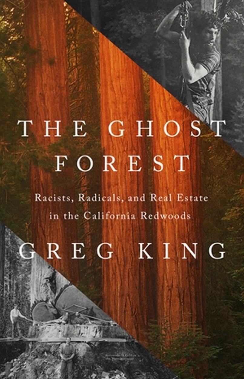 The Ghost Forest by Greg King | Hachette UK