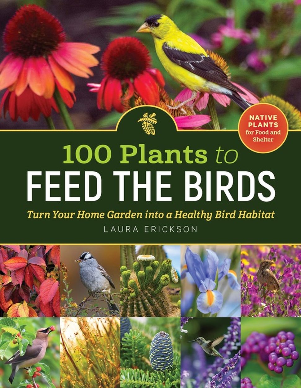 100 Plants to Feed the Birds by Laura Erickson | Hachette UK