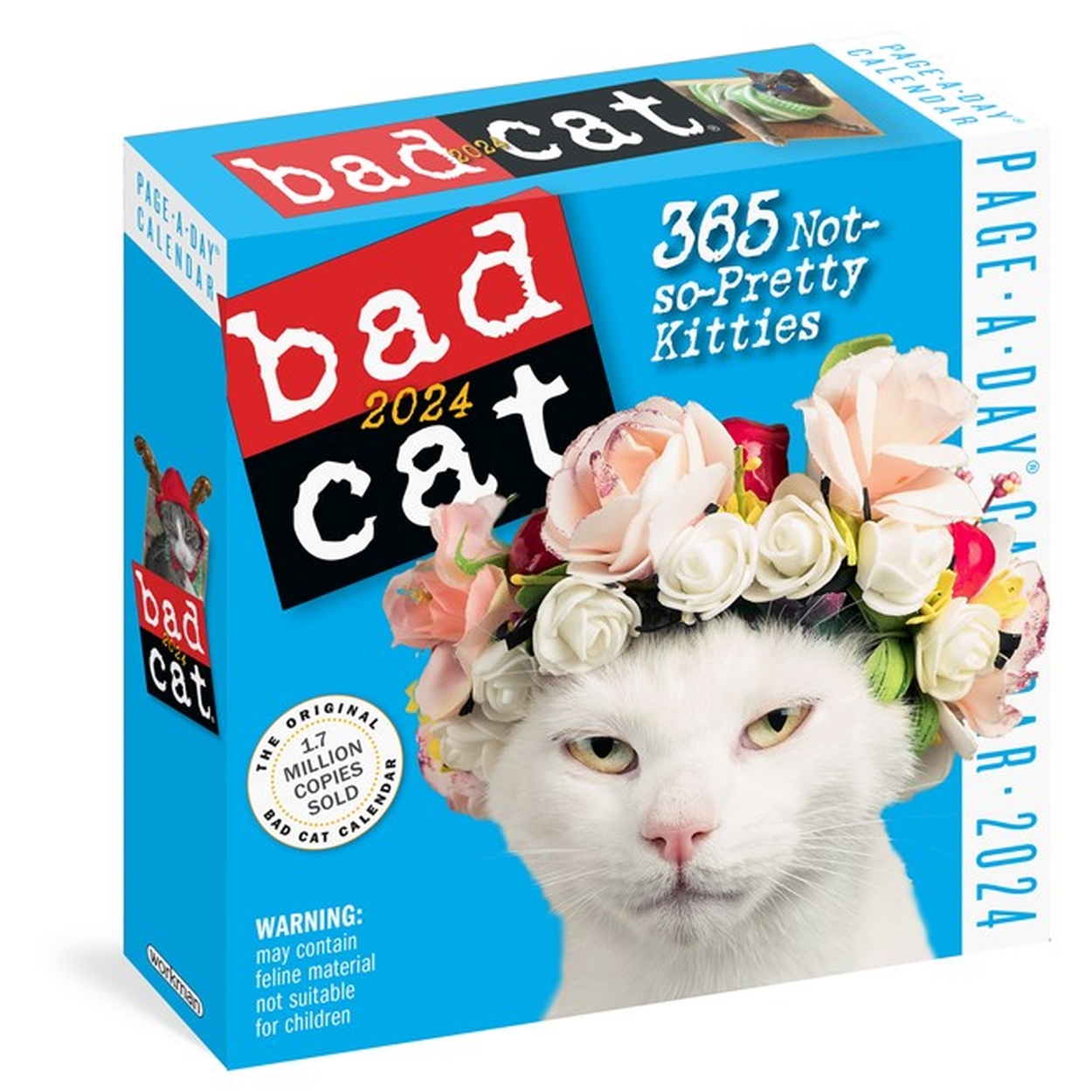 Bad Cat Page-A-Day Calendar 2024 by Workman Calendars | Hachette UK