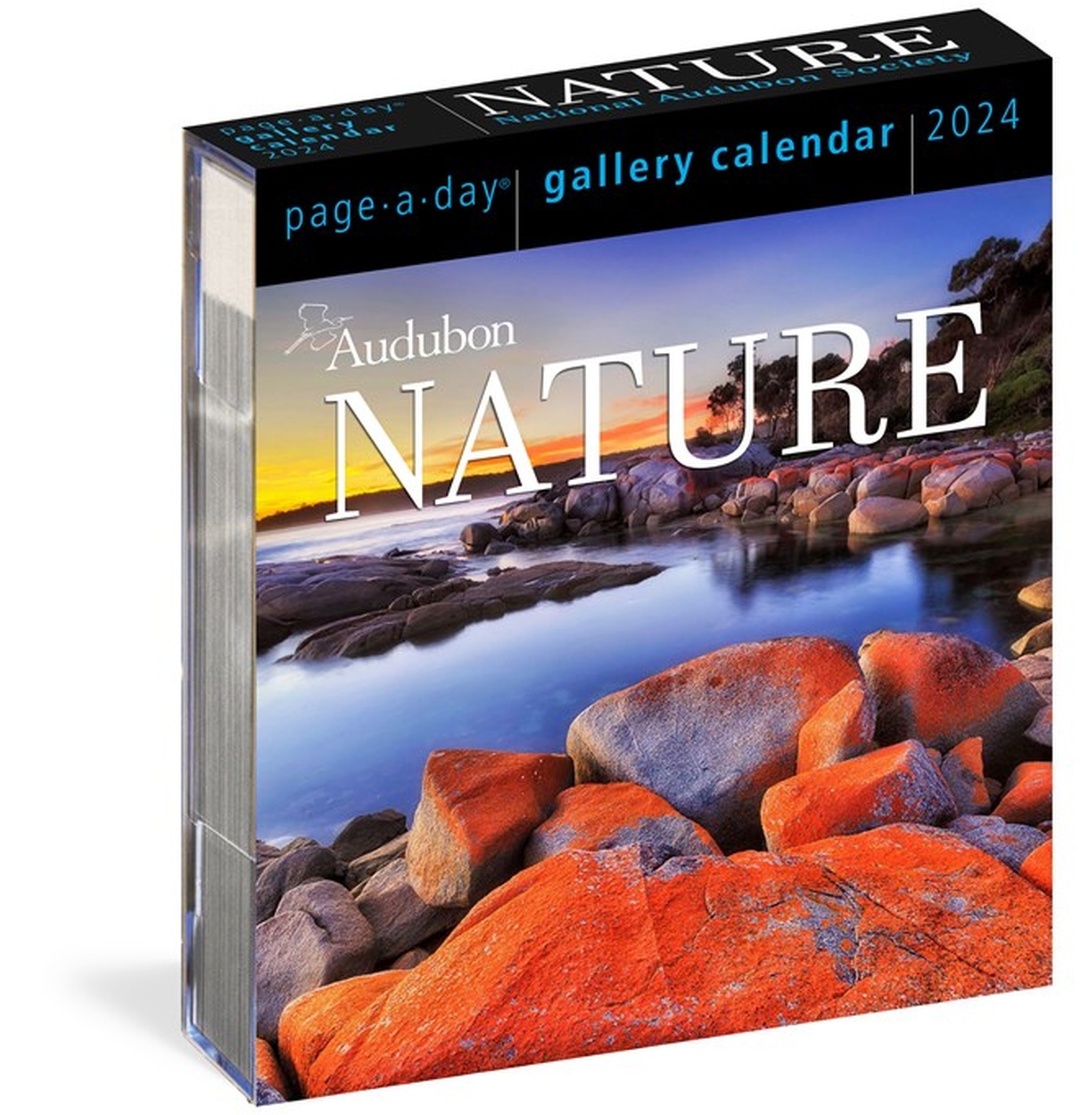 Audubon Nature Page-A-Day Gallery Calendar 2024 by Workman Calendars ...