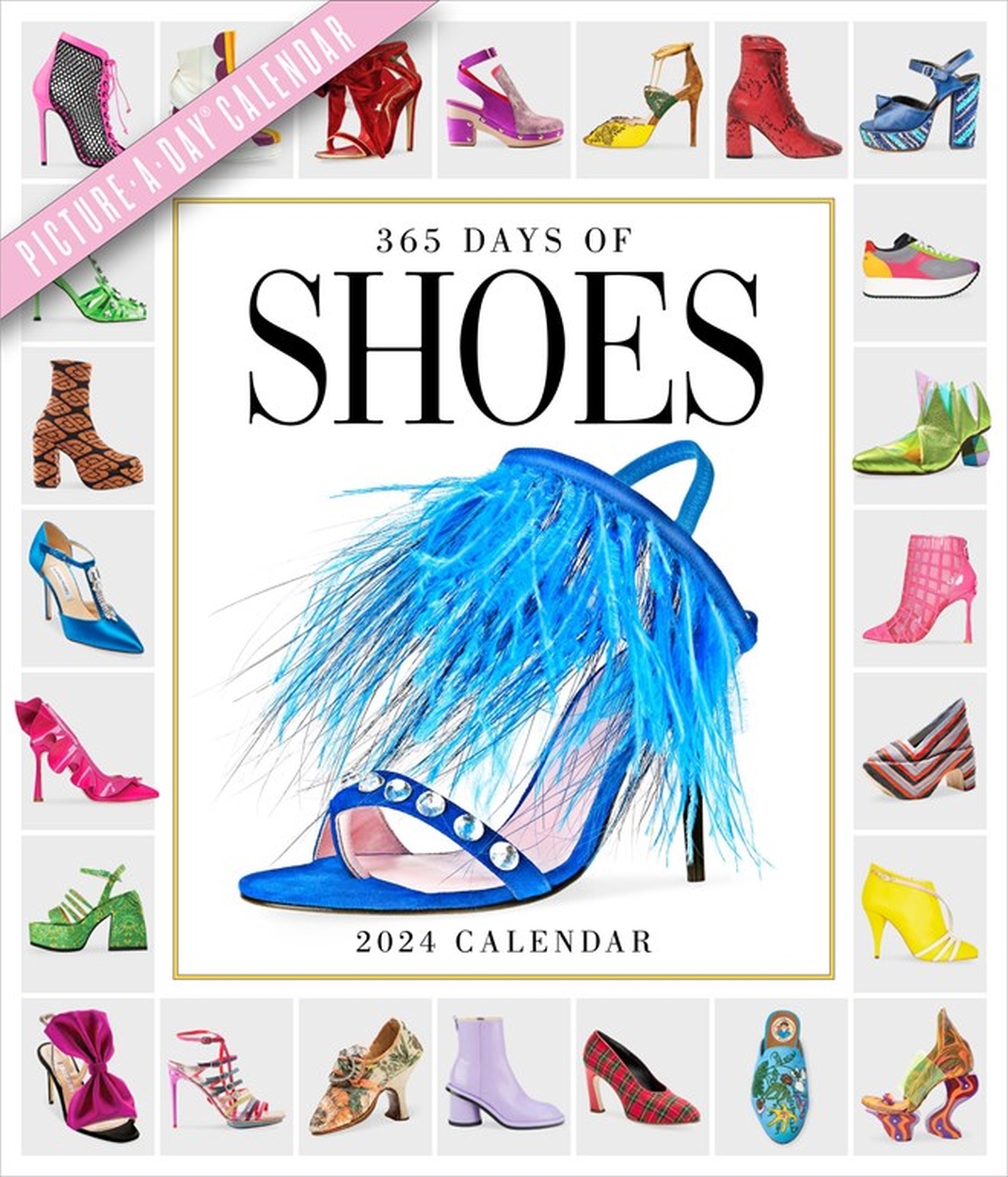 365 Days of Shoes Picture-A-Day Wall Calendar 2024 by Workman Calendars ...