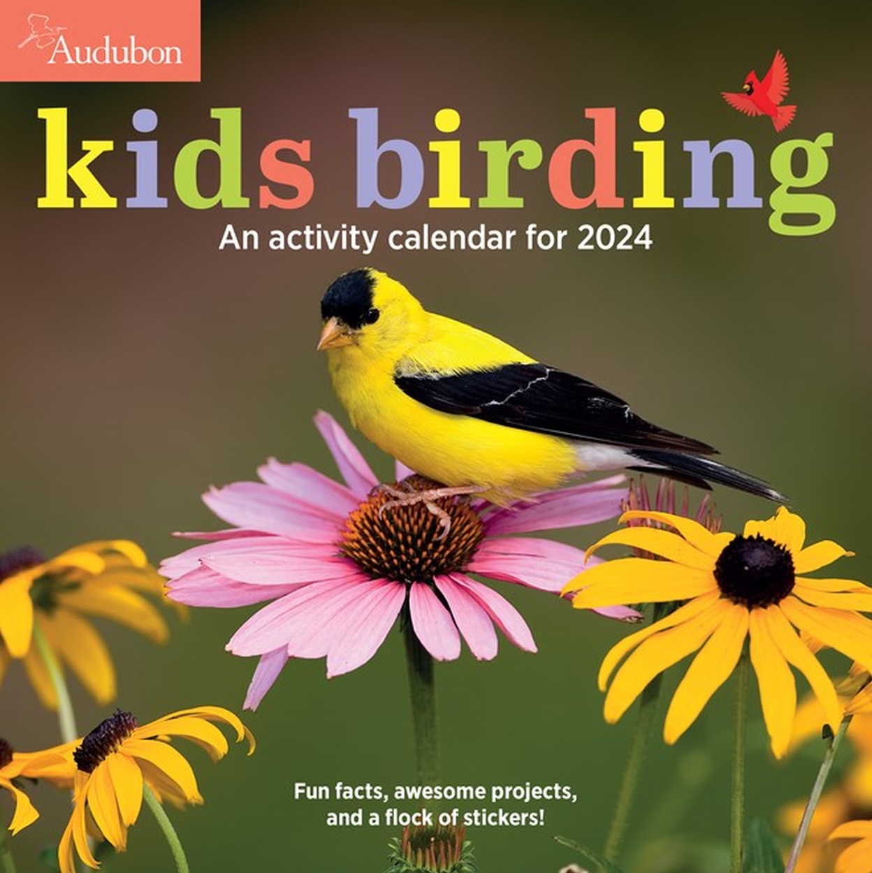 Audubon Kids Birding Wall Calendar 2024 by Workman Calendars | Hachette UK