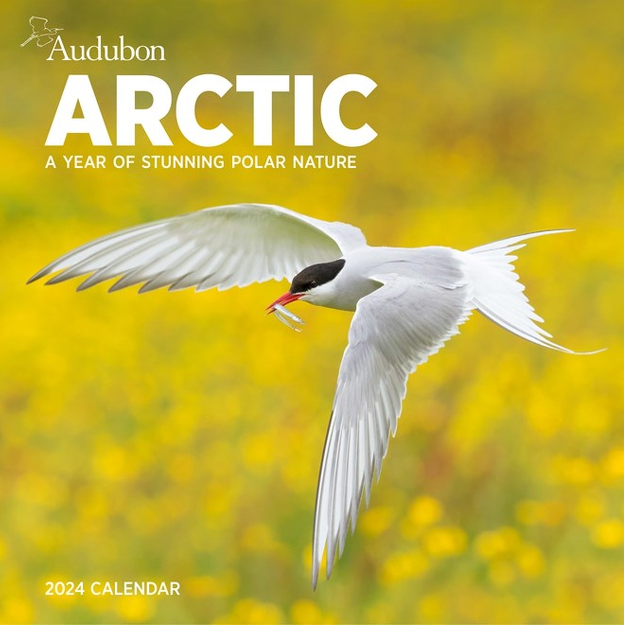 Audubon Arctic Wall Calendar 2024 by Workman Calendars | Hachette UK