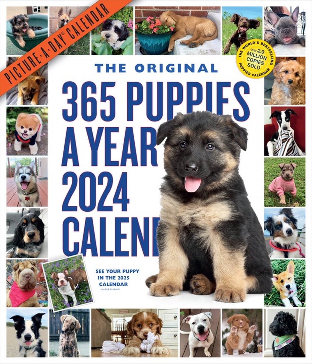 365 Puppies-A-Year Picture-A-Day Wall Calendar 2024 by Workman ...