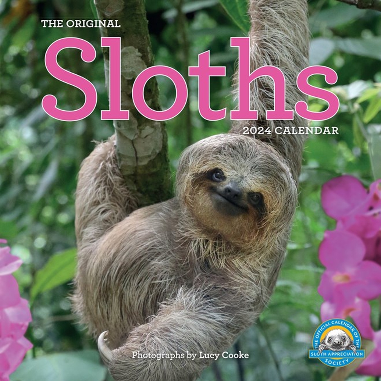 Original Sloths Wall Calendar 2024 by Lucy Cooke | Hachette UK