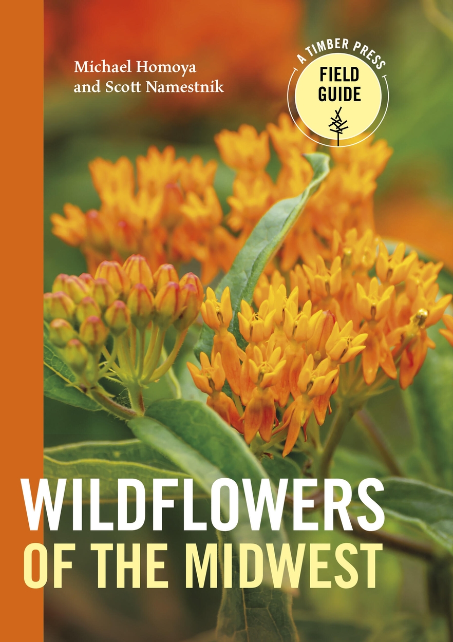 Wildflowers of the Midwest by Michael Homoya | Hachette UK