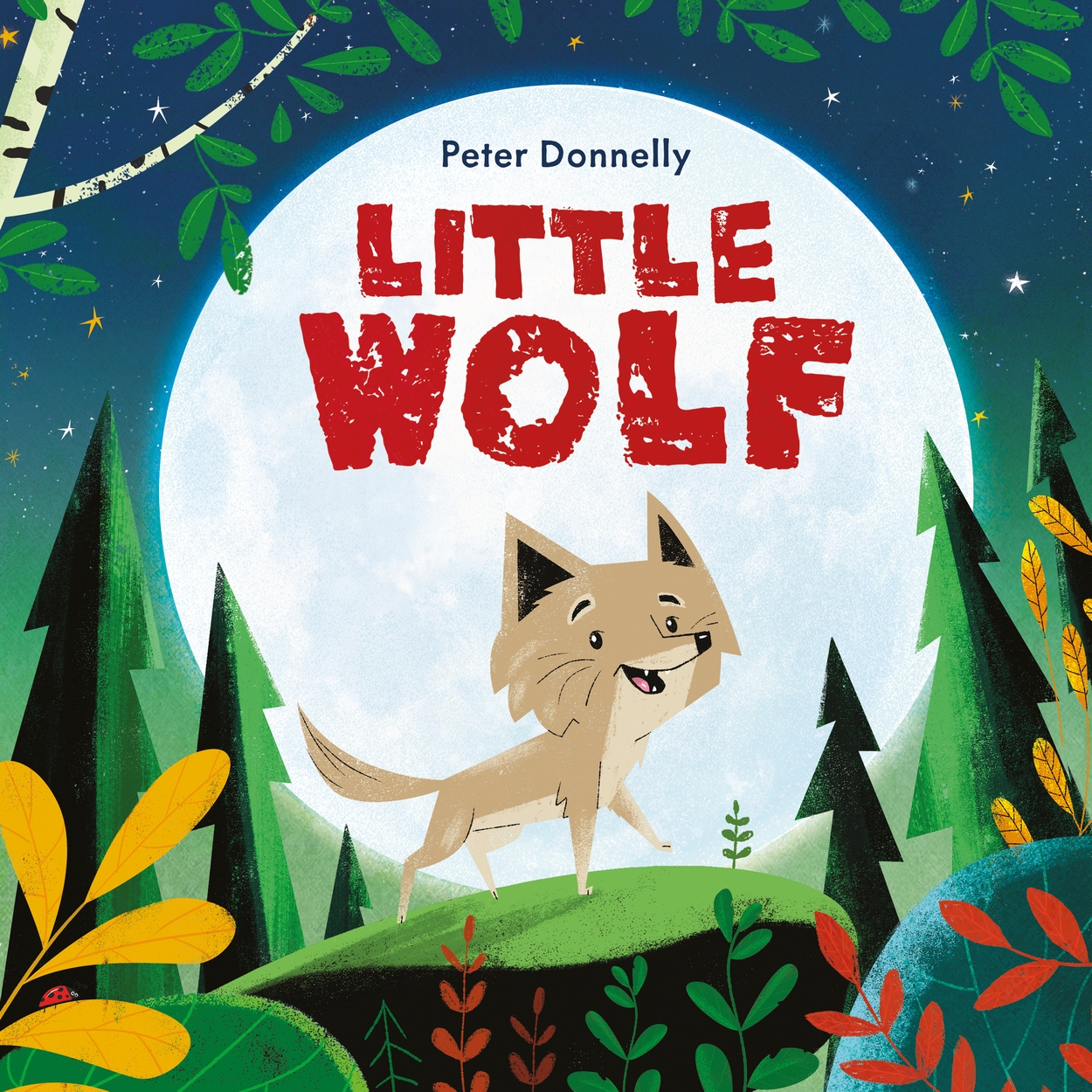 Little Wolf By Peter Donnelly Hachette Uk
