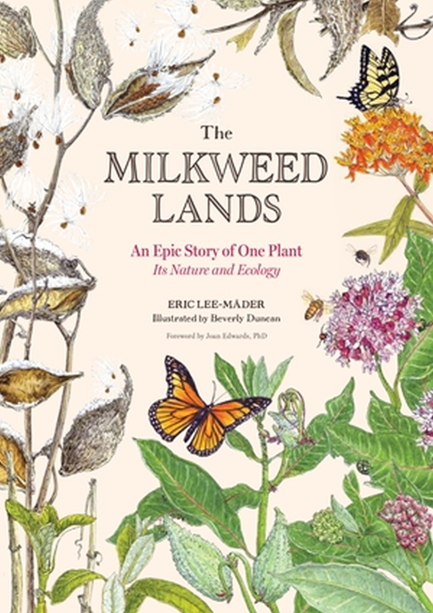 The Milkweed Lands by Beverly Duncan | Hachette UK