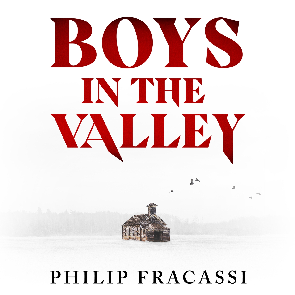 Boys in the Valley by Philip Fracassi | Hachette UK