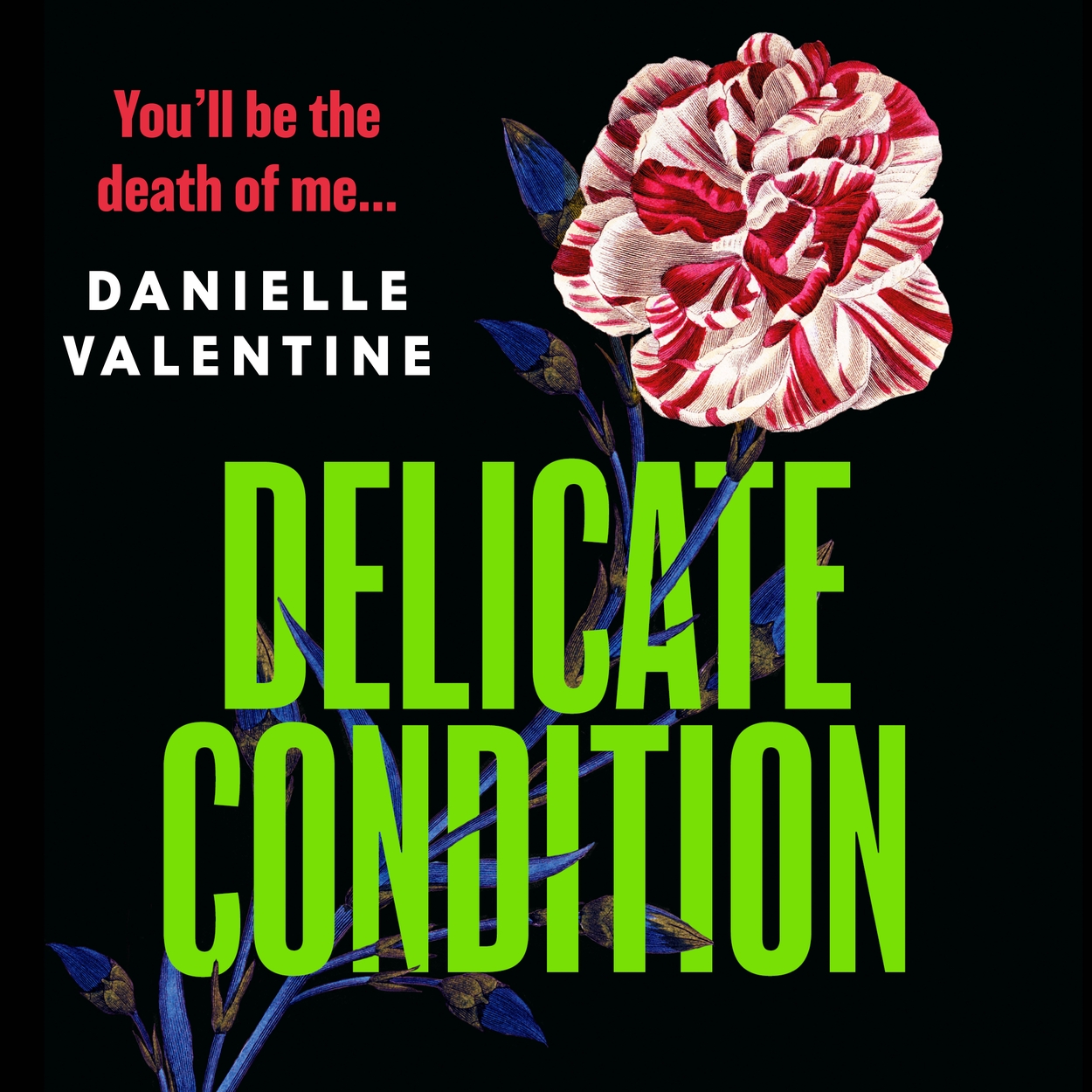 Delicate Condition by Katherine Fenton | Hachette UK