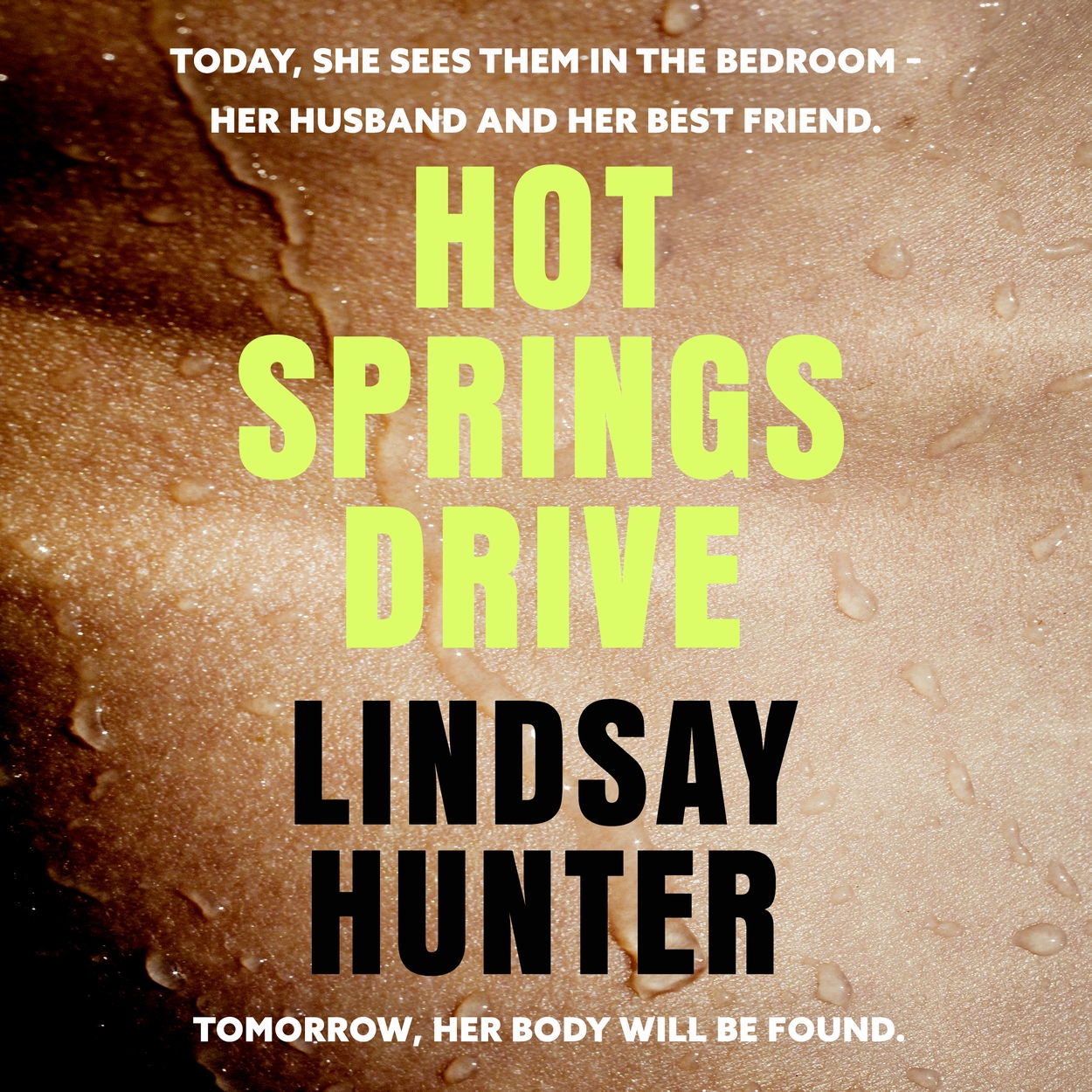 Hot Springs Drive by Lindsay Hunter | Hachette UK
