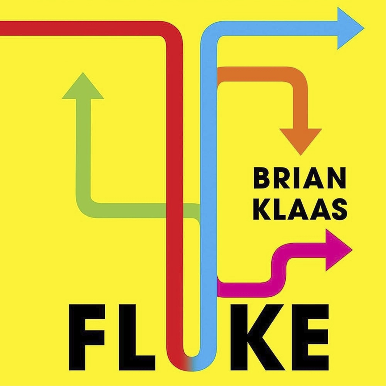 Fluke by Brian Klaas | Hachette UK