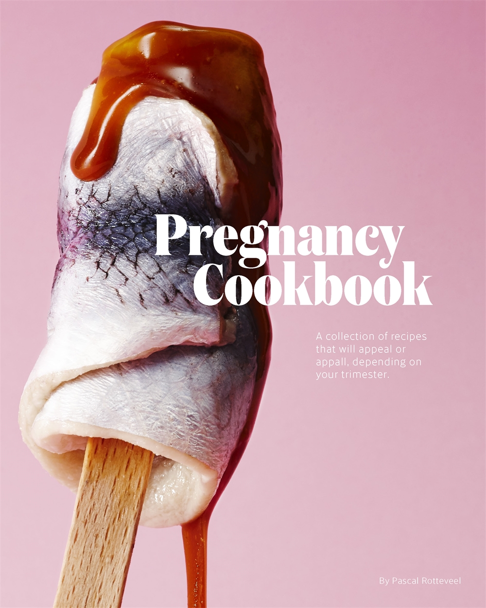 Pregnancy Cookbook by Pascal Rotteveel | Hachette UK