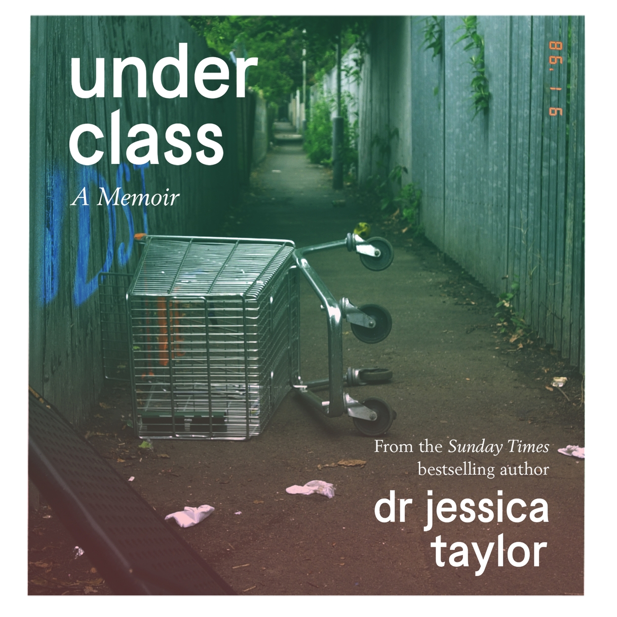 Underclass by Dr Jessica Taylor | Hachette UK