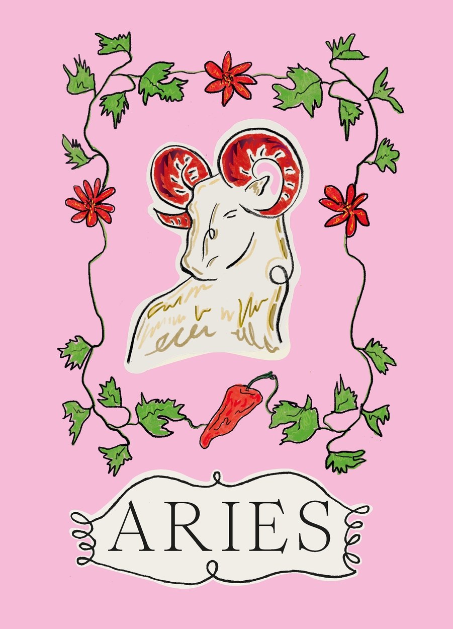Aries by Liberty Phi | Hachette UK