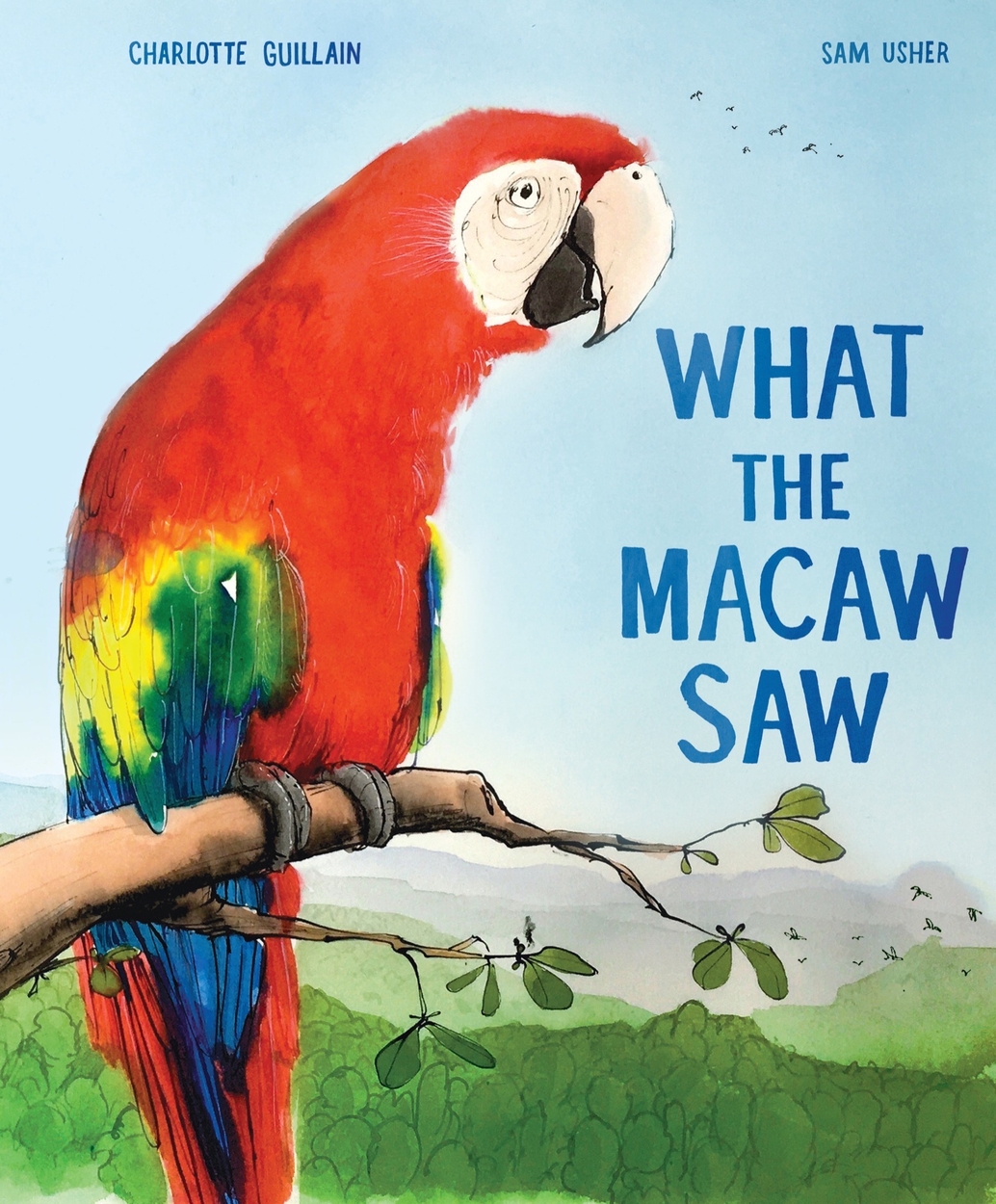 What the Macaw Saw by Charlotte Guillain | Hachette UK