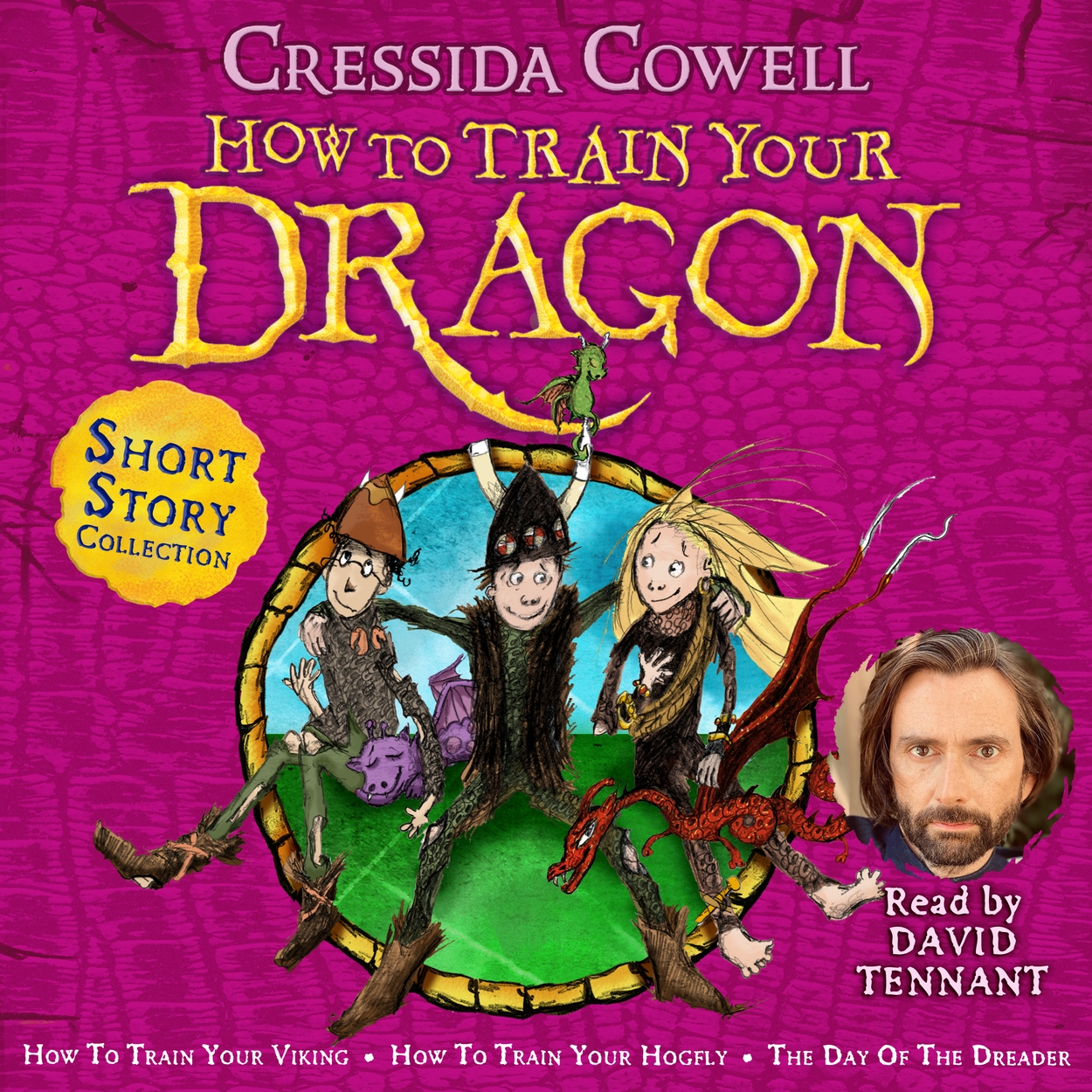 The How To Train Your Dragon Short Story Collection by Cressida Cowell ...