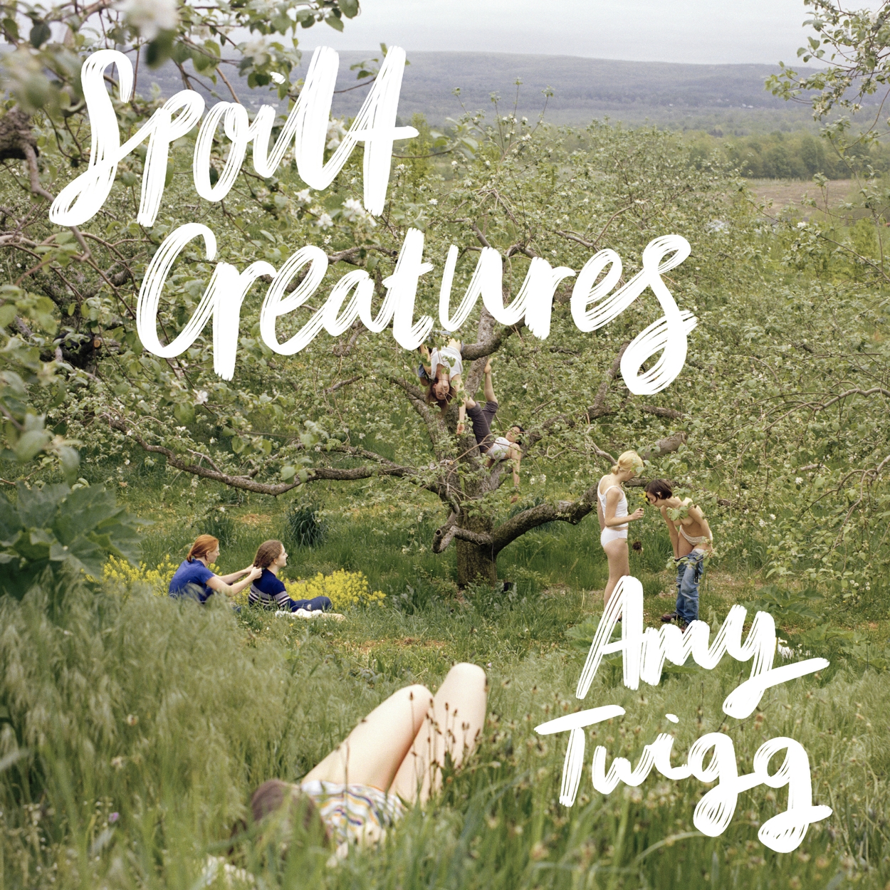 Spoilt Creatures by Amy Twigg | Hachette UK