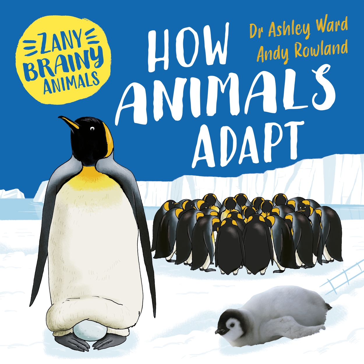 Zany Brainy Animals: How Animals Adapt by Ashley Ward | Hachette UK