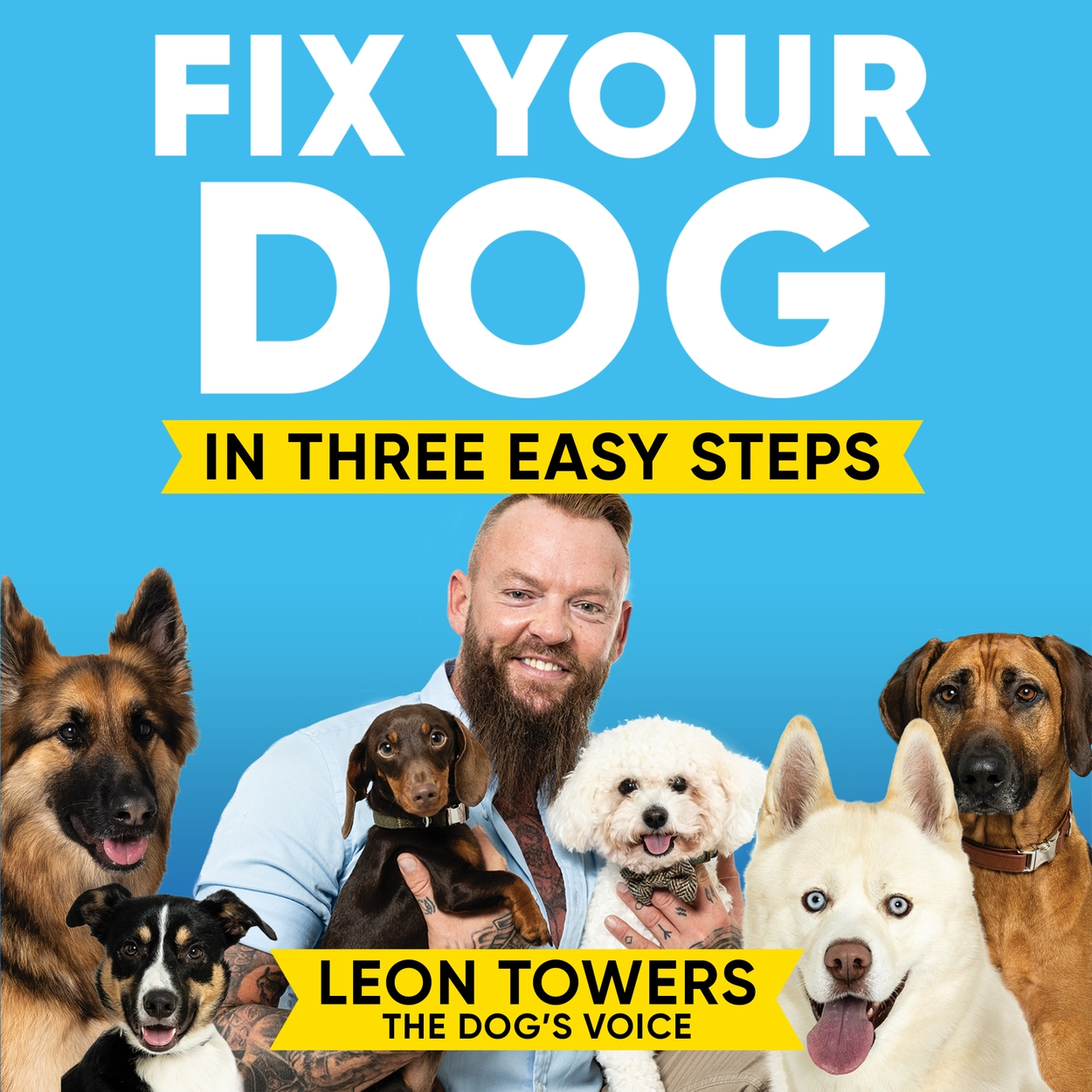 Fix Your Dog in Three Easy Steps by Leon Towers | Hachette UK