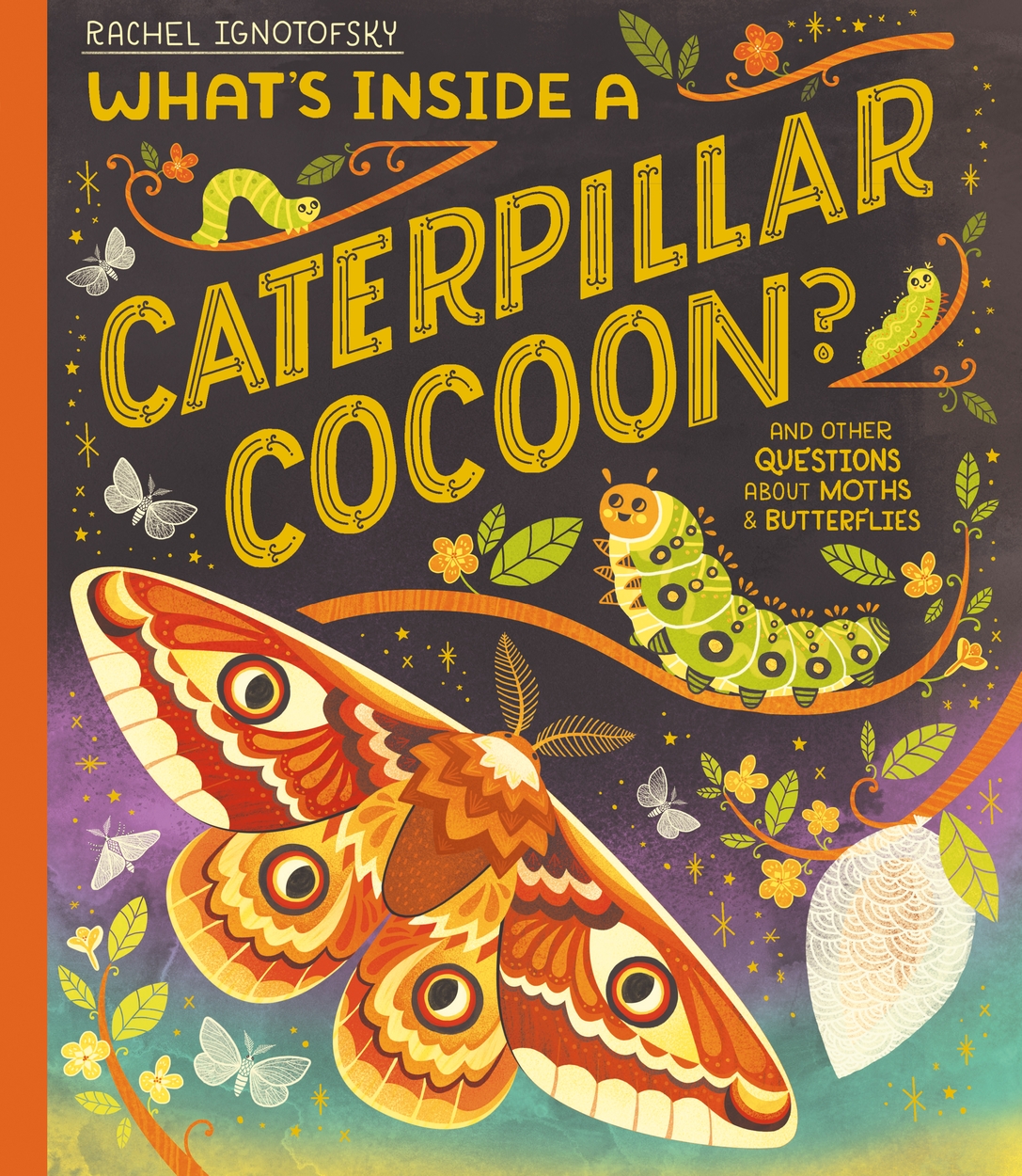 What’s Inside a Caterpillar Cocoon? by Rachel Ignotofsky | Hachette UK