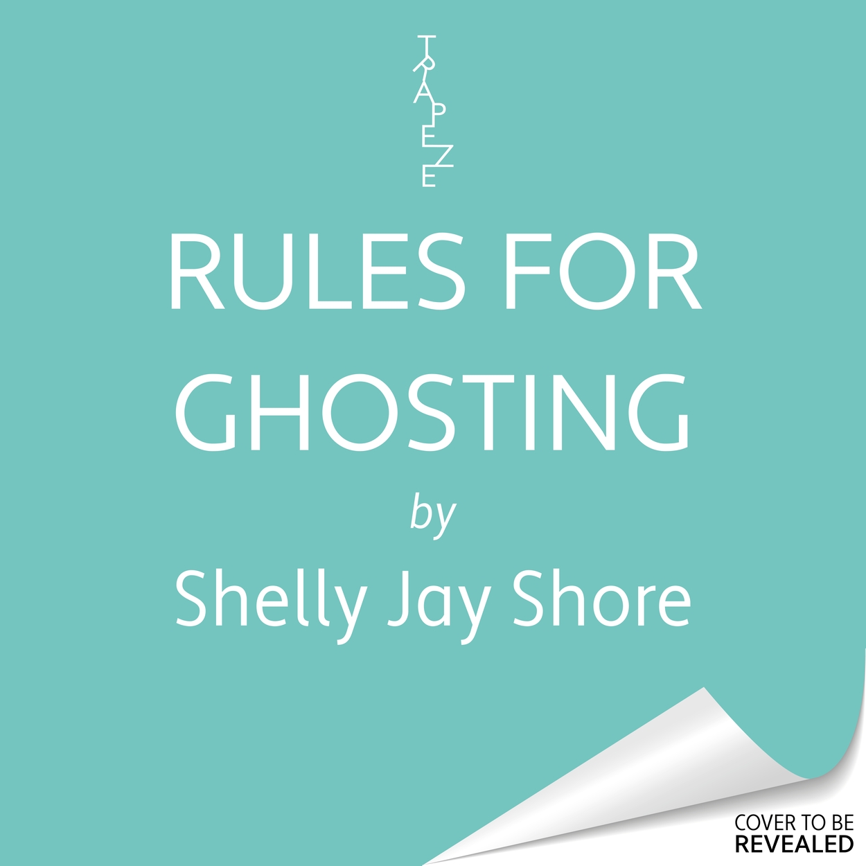 Rules for Ghosting by Shelly Jay Shore | Hachette UK