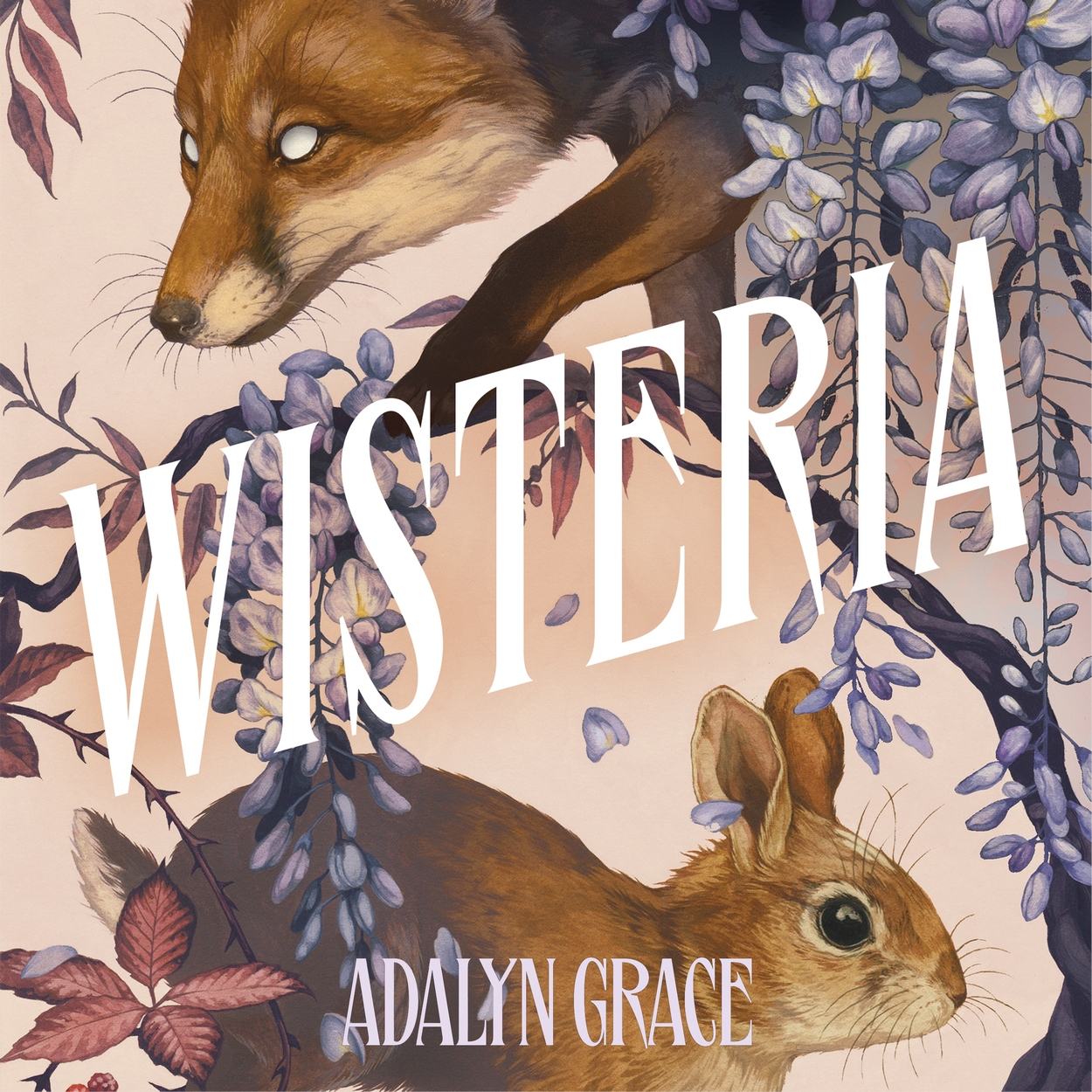 Wisteria by Adalyn Grace | Hachette UK