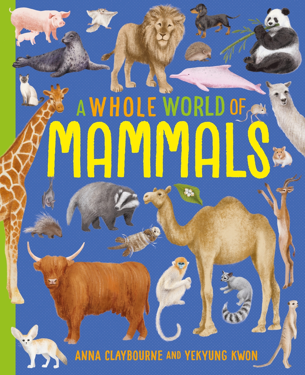 A Whole World of...: Mammals by Anna Claybourne | Hachette UK