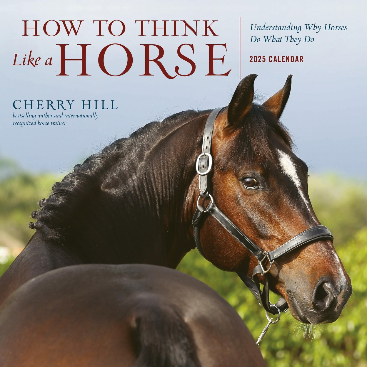 How to Think Like a Horse Wall Calendar 2025 by Cherry Hill | Hachette UK