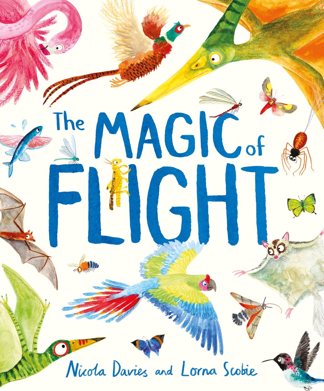 The Magic of Flight by Nicola Davies | Hachette UK