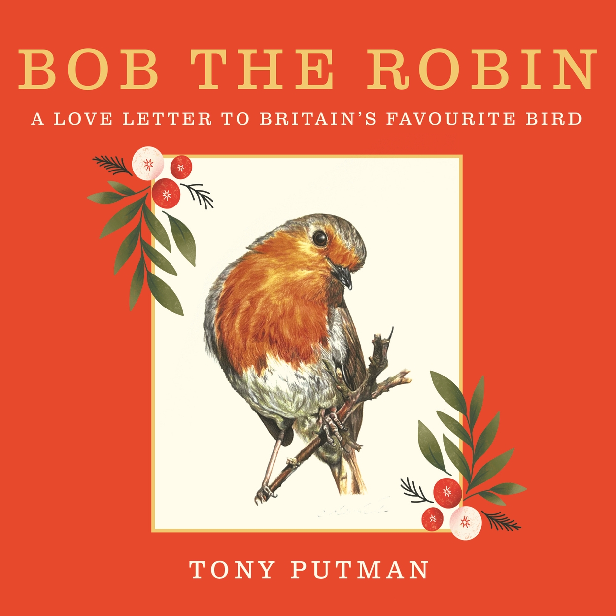 Bob the Robin by Tony Putman | Hachette UK