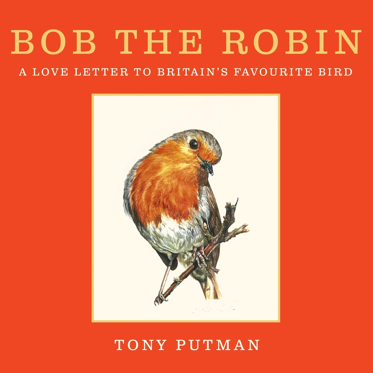 Bob the Robin by Tony Putman | Hachette UK