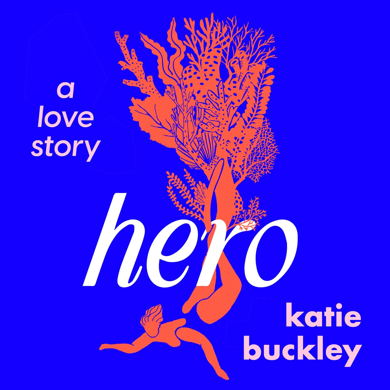 Hero by Katie Buckley | Hachette UK