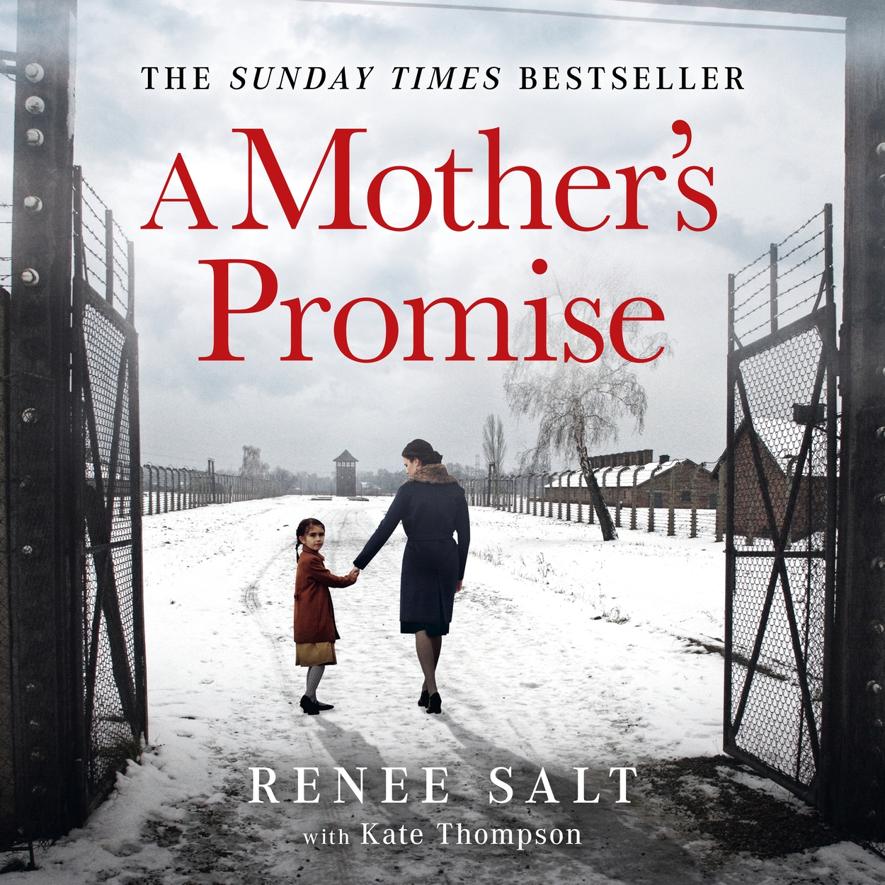 A Mother’s Promise by Renee Salt | Hachette UK