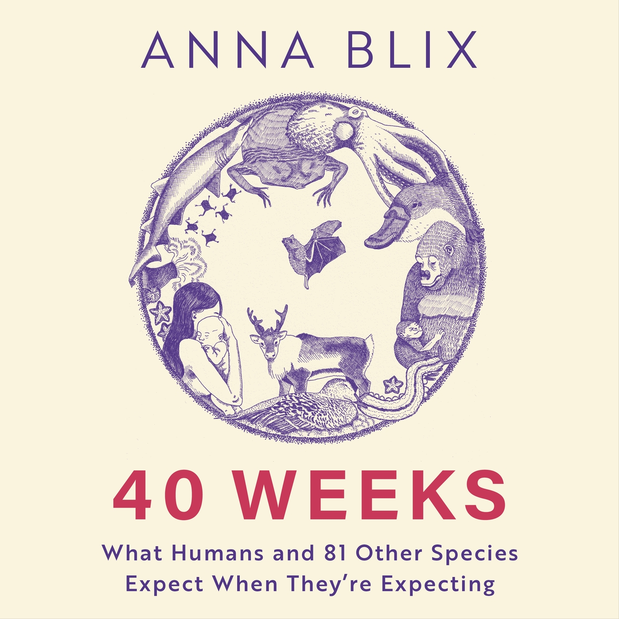 40 Weeks by Anna Blix | Hachette UK