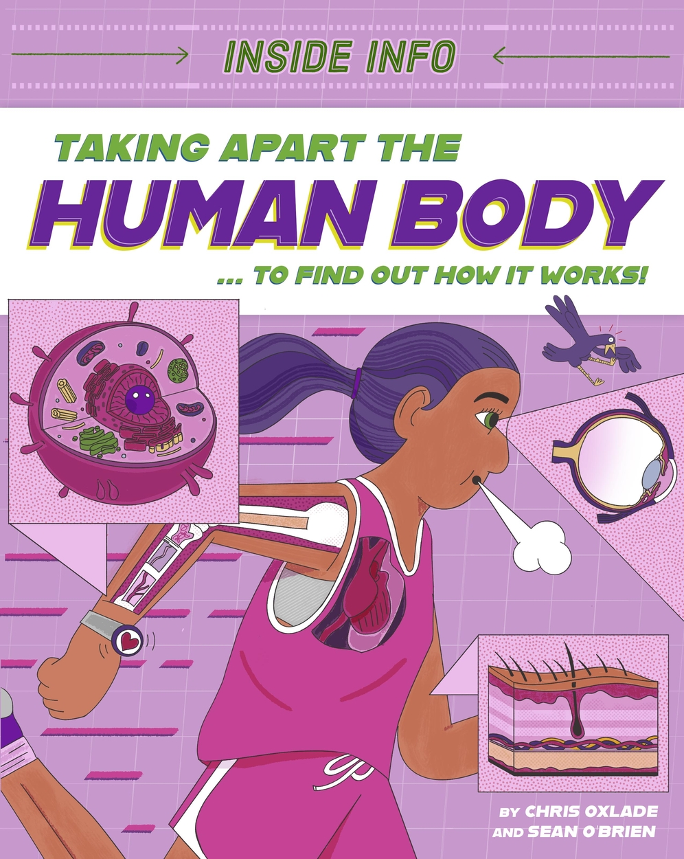 Inside Info: Taking Apart the Human Body by Chris Oxlade | Hachette UK
