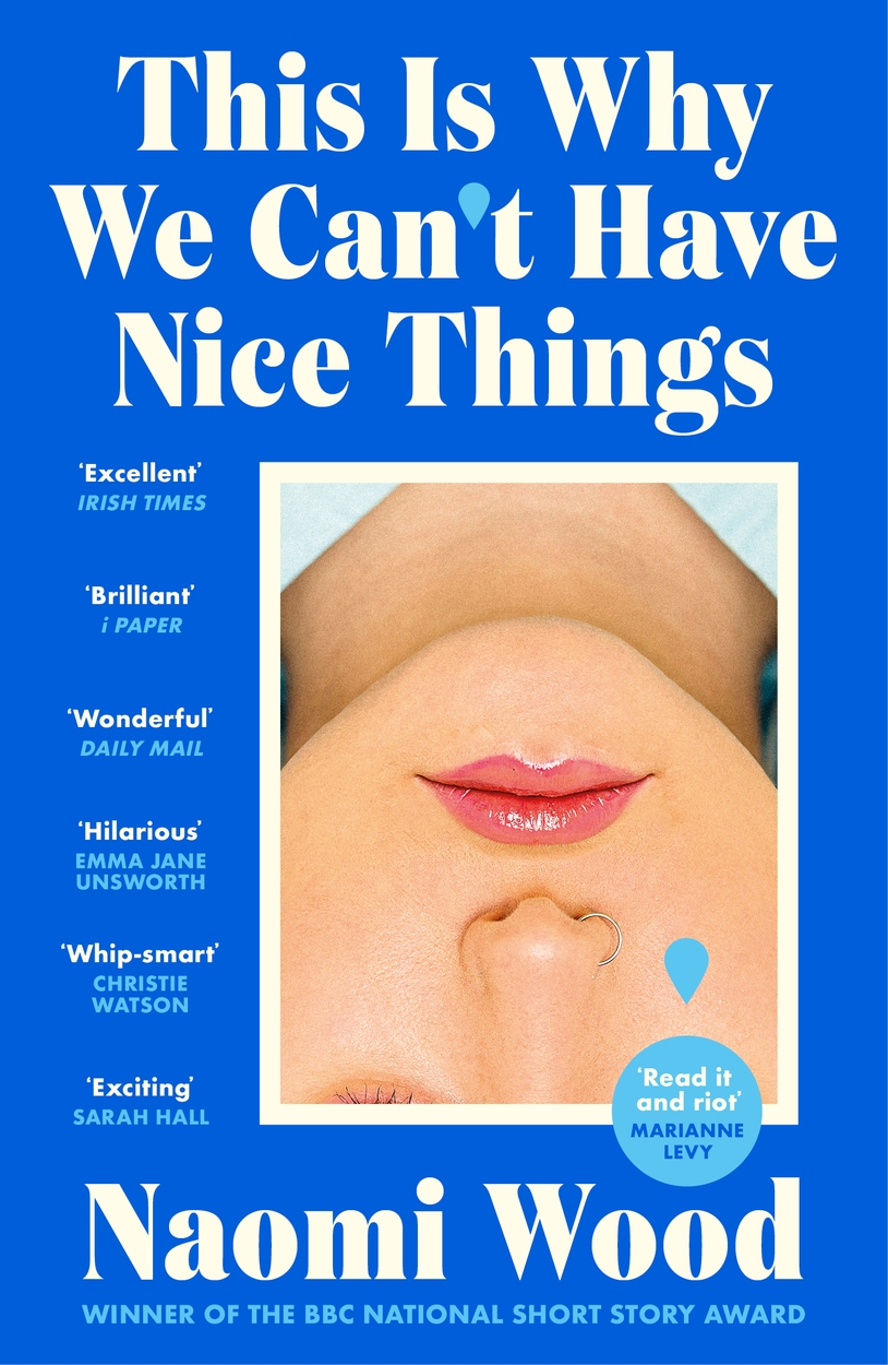 This Is Why We Can’t Have Nice Things by Naomi Wood | Hachette UK