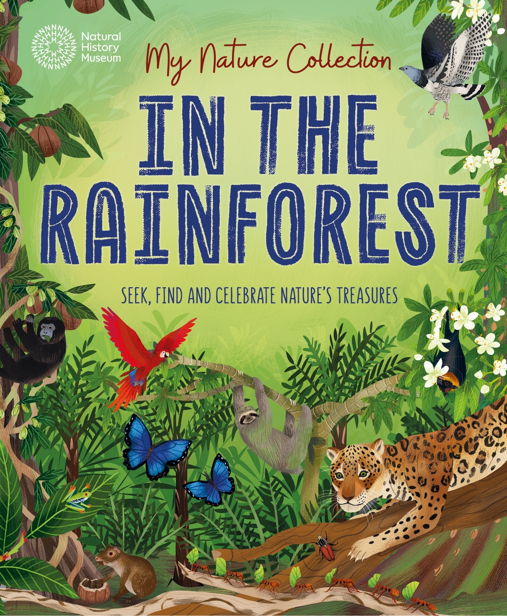 My Nature Collection: In the Rainforest by Cameron Menzies | Hachette UK